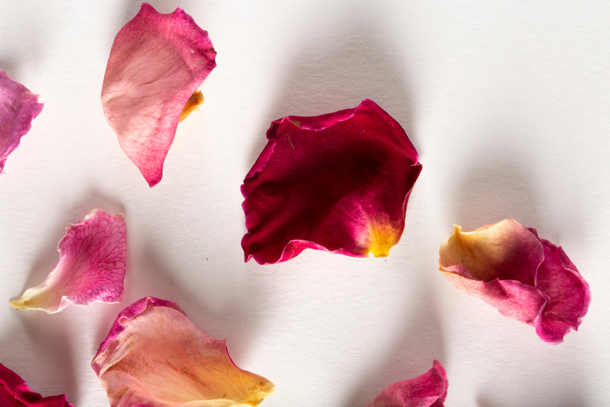 Dried Edible Pink Rose Petals – Foraged Flavour Edible Flowers