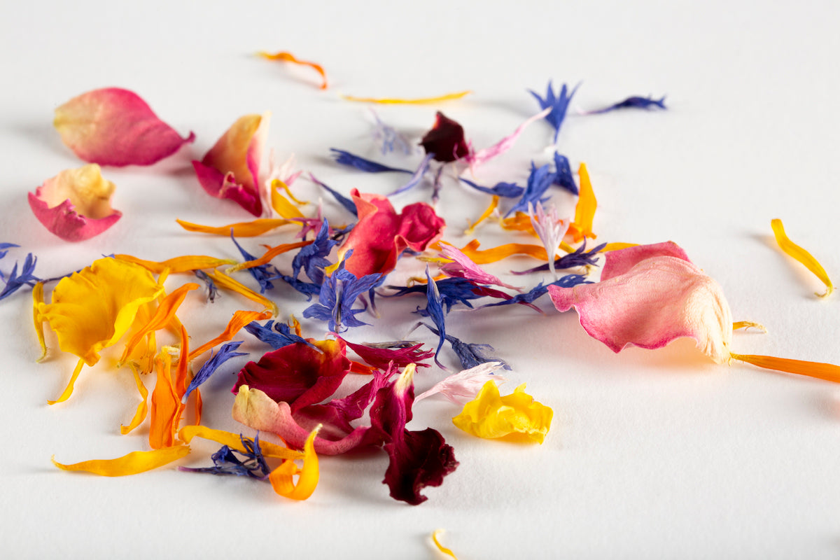 Flower Petal Confetti – Foraged Flavour Edible Flowers